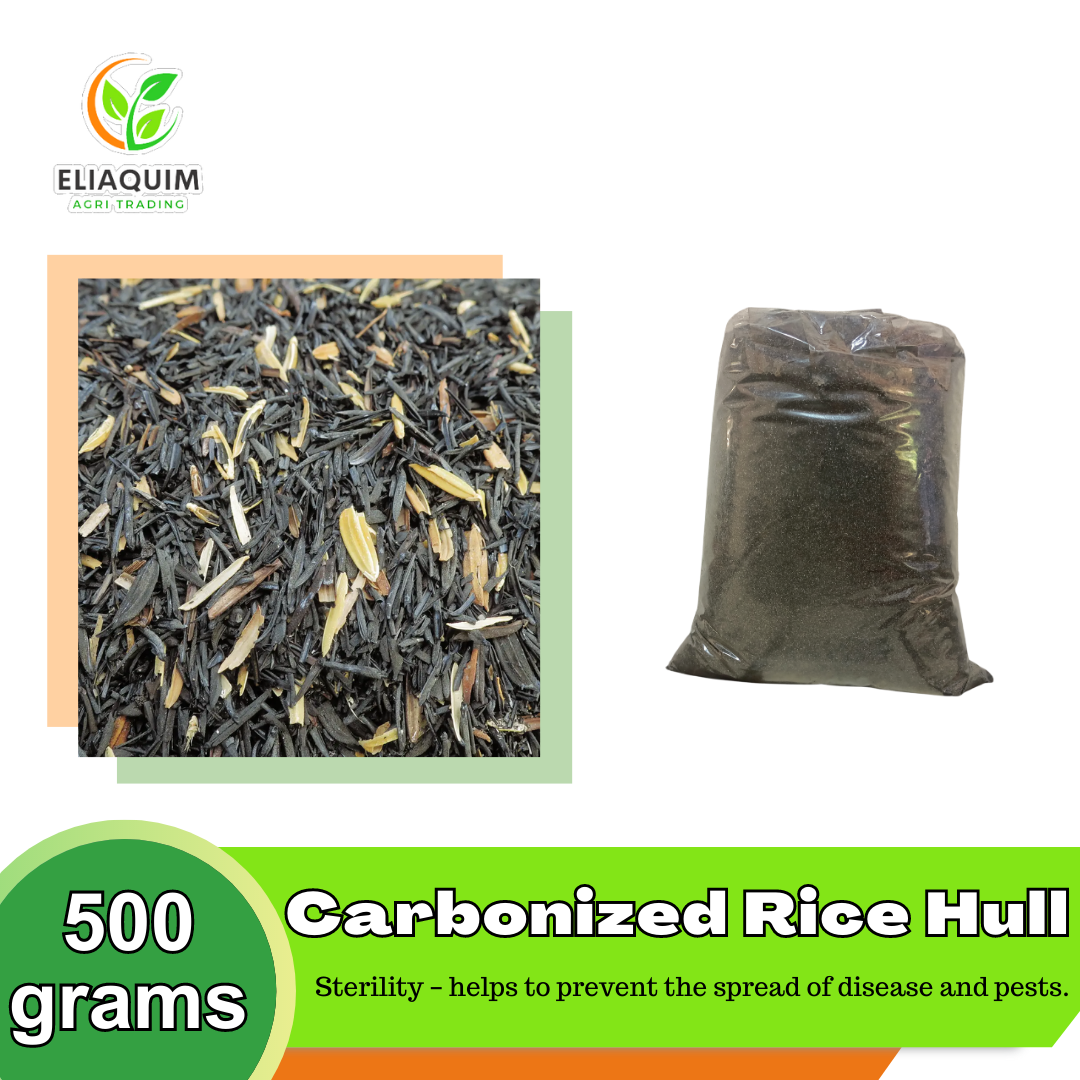 CARBONIZED RICE HULL / CRH (500grams 1kilograms, and 3kilograms)Best ...
