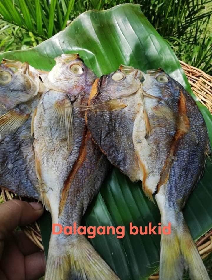 Fish Dried 500g Dalagang bukid fish Fresh Dried Dalagang bukidfrom ...
