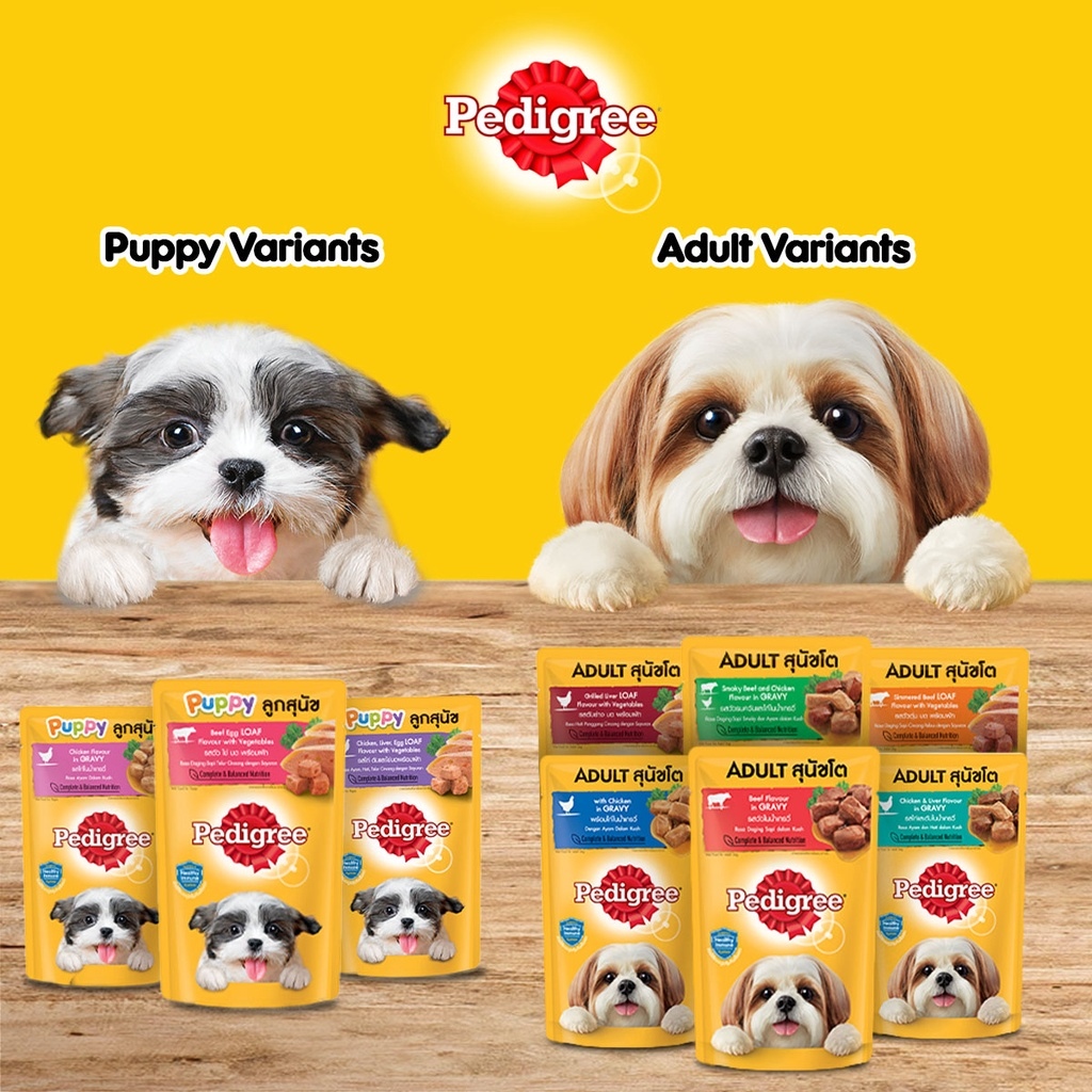 PEDIGREE Wet Food Pouch 130g for Dogs NEW PACKAGING! | Lazada PH