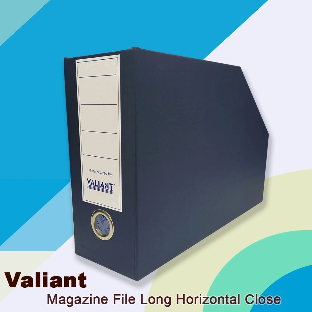 Magazine File Long Horizontal Close File Organizer | Lazada PH