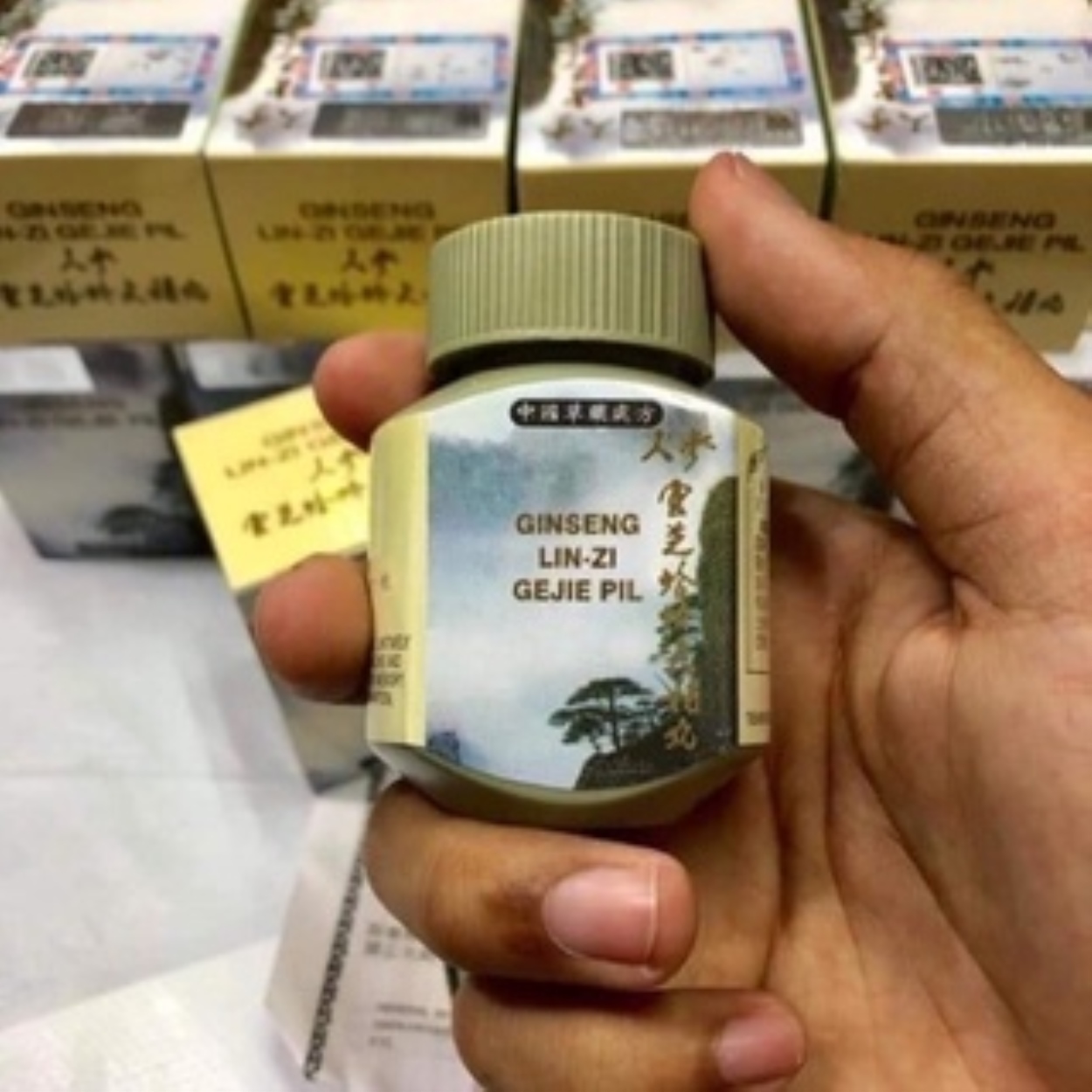 LingZhi lin zhi Vitamins Original Ginseng Lin Zi Geji Pil Original ...