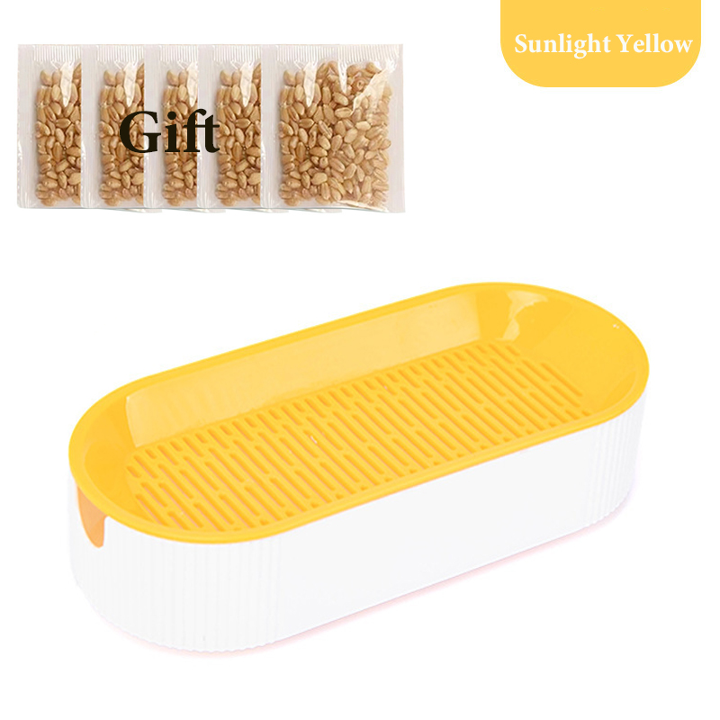 Catnip Grass Kit With Pot Cat Grass Wheat/Barleygrass Seeds Hydroponic ...