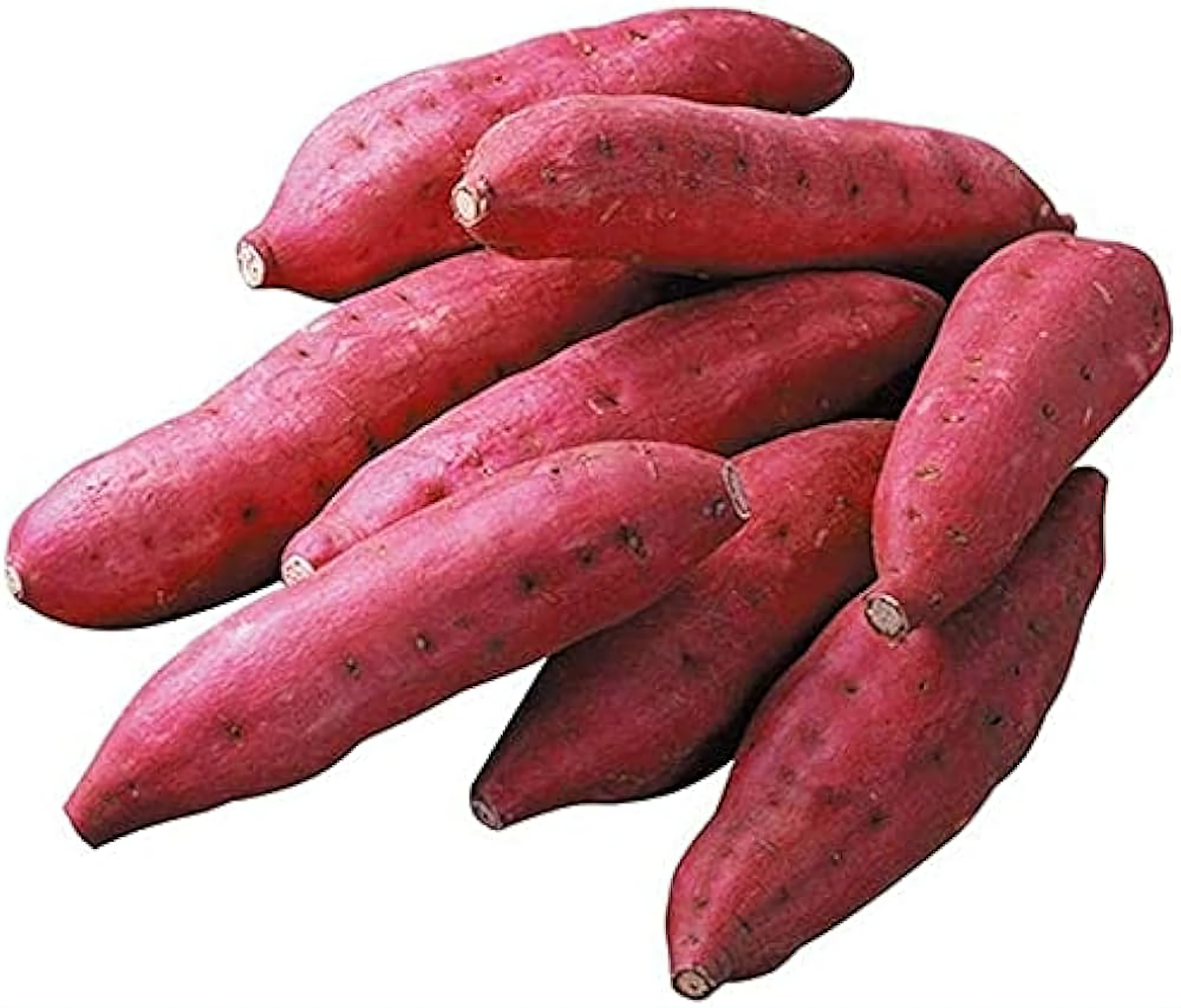 Kamote Sweet Potato Violet 1kg | Lazada PH