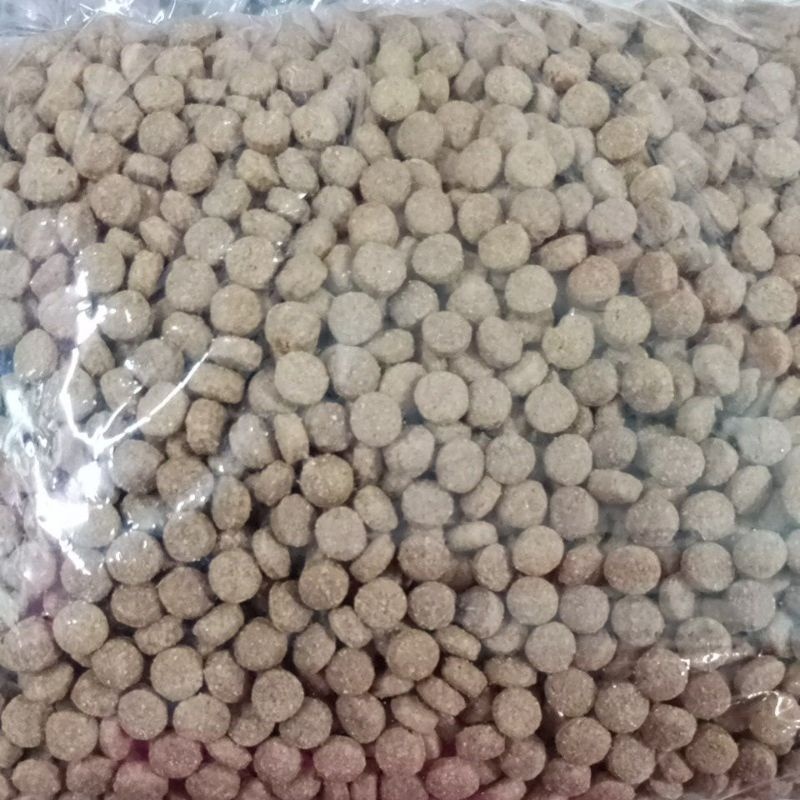 bingo dog food repack 1kg for puppy and adult | Lazada PH