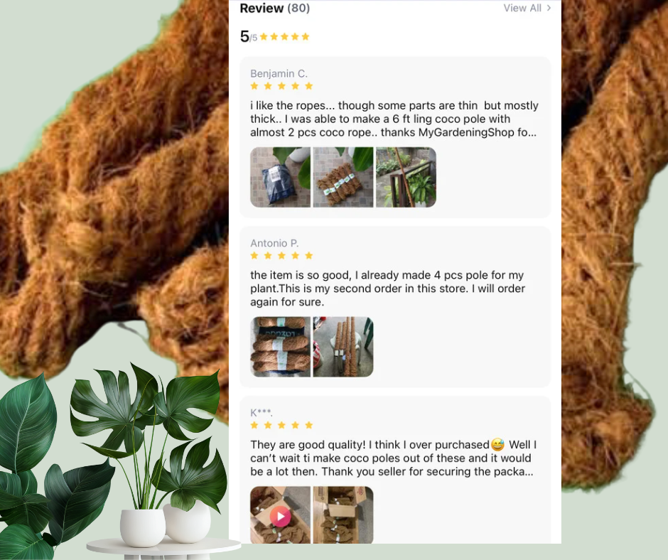 COCOROPE TWINE FIBER COCONUT BEST FOR HANGING PLANTS | Lazada PH