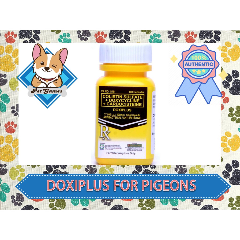 Rockdove Doxi Plus Antibiotic for Pigeons | Lazada PH