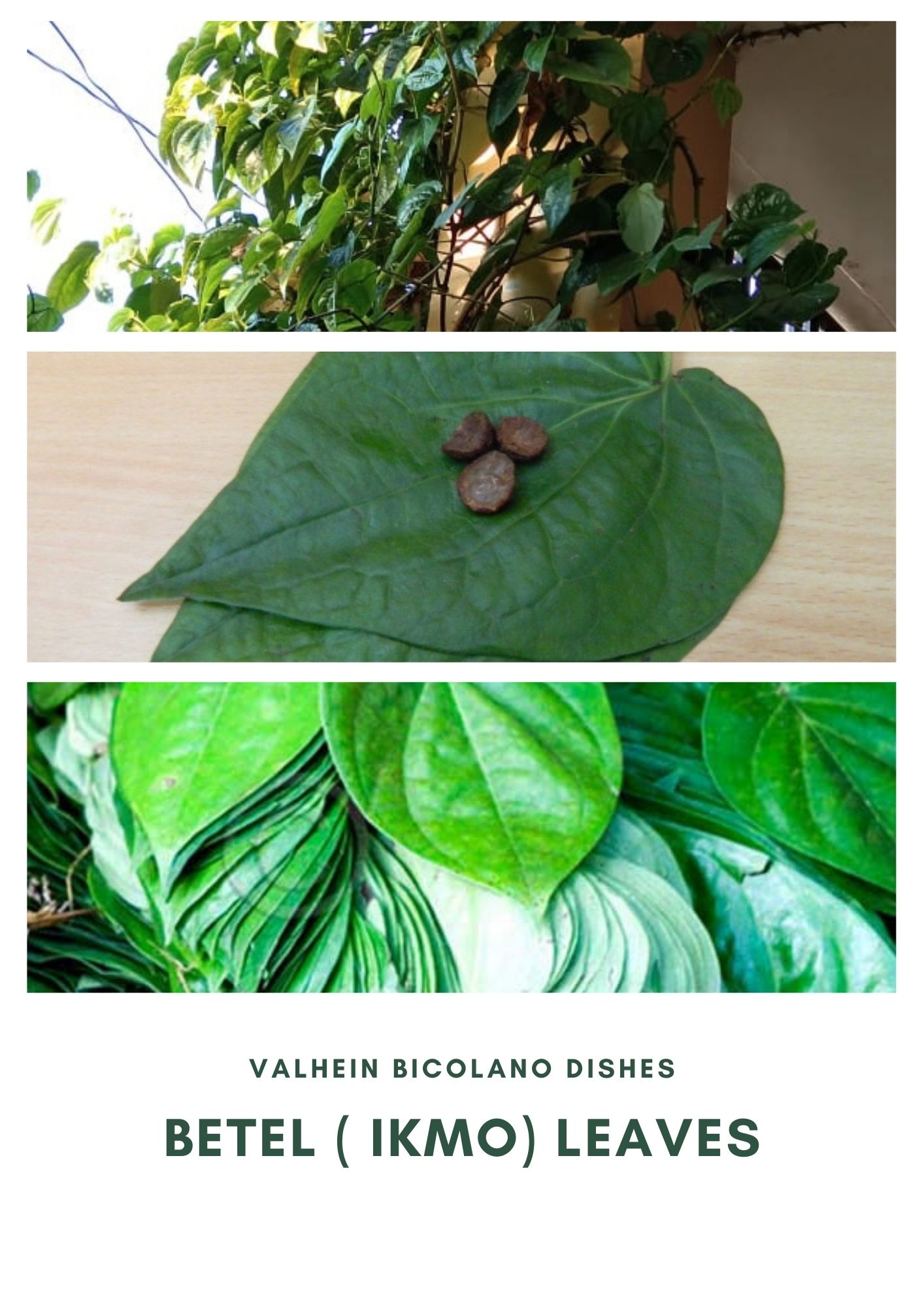 BETEL/ IKMO/ NGANGA LEAF 3 PCS/PHP 30.00 | Lazada PH