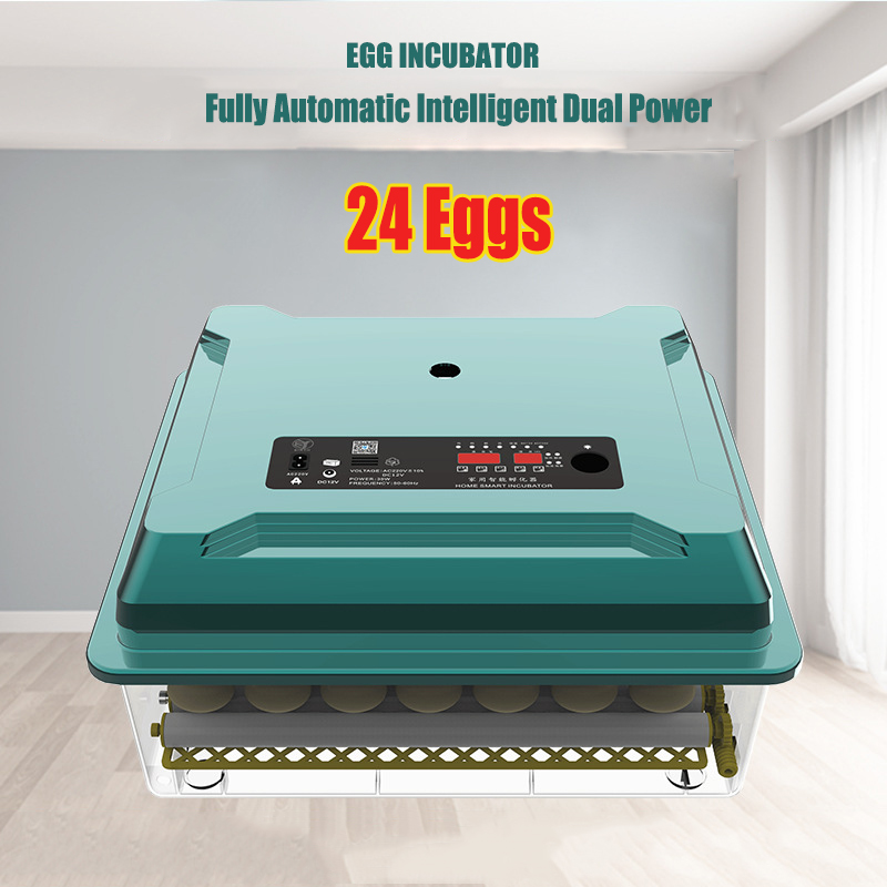 【On Stock】Egg Incubator 24/30/36 Eggs Fully Automatic Egg Incubator ...