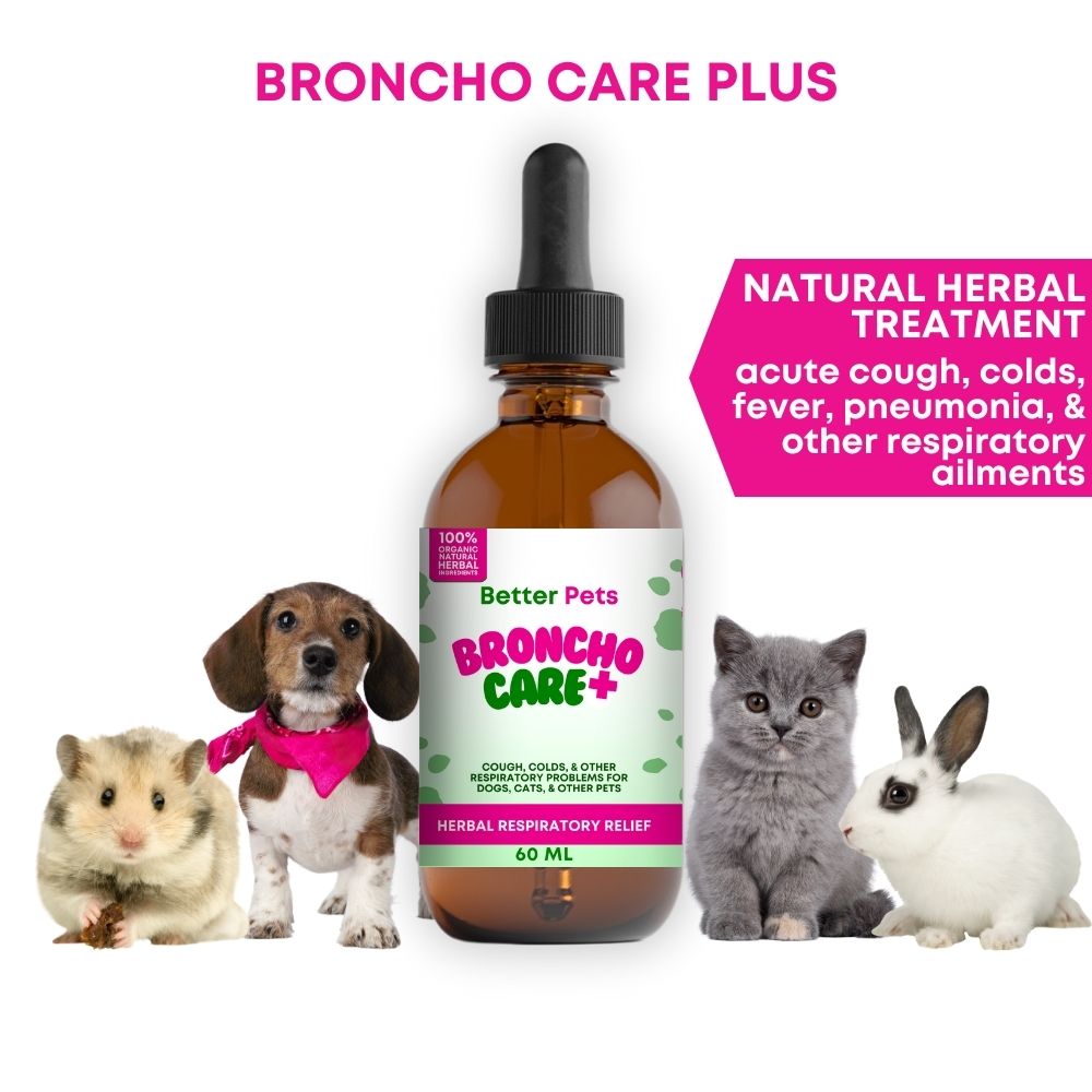 Better Pets Broncho Care Plus 60ml Respiratory Comfort Treatment for Dogs Cats Kennel Cough ...