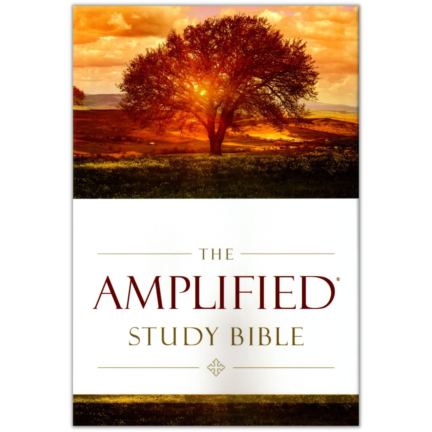 The Amplified Study Bible, Hardcover | Lazada PH