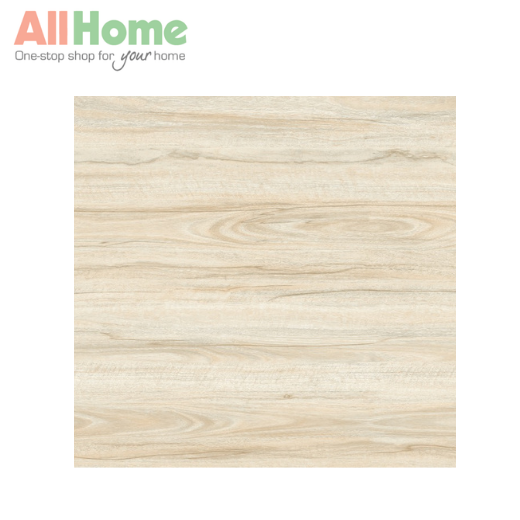 Tiles for Floor 60X60 PY6636 Lustro Wf | Lazada PH