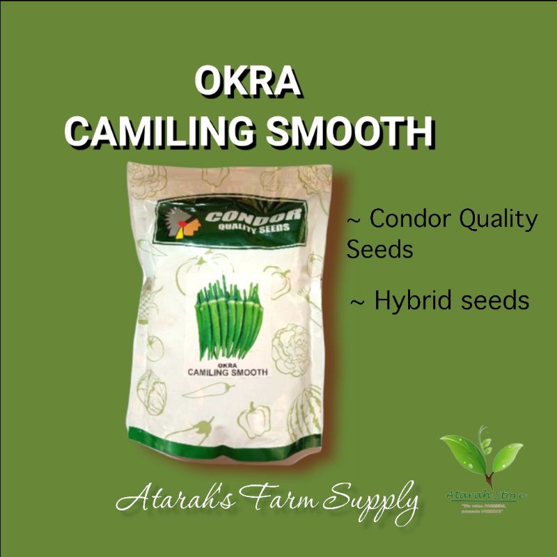 HYBRID OKRA CAMILING SMOOTH CONDOR SEEDS | Lazada PH