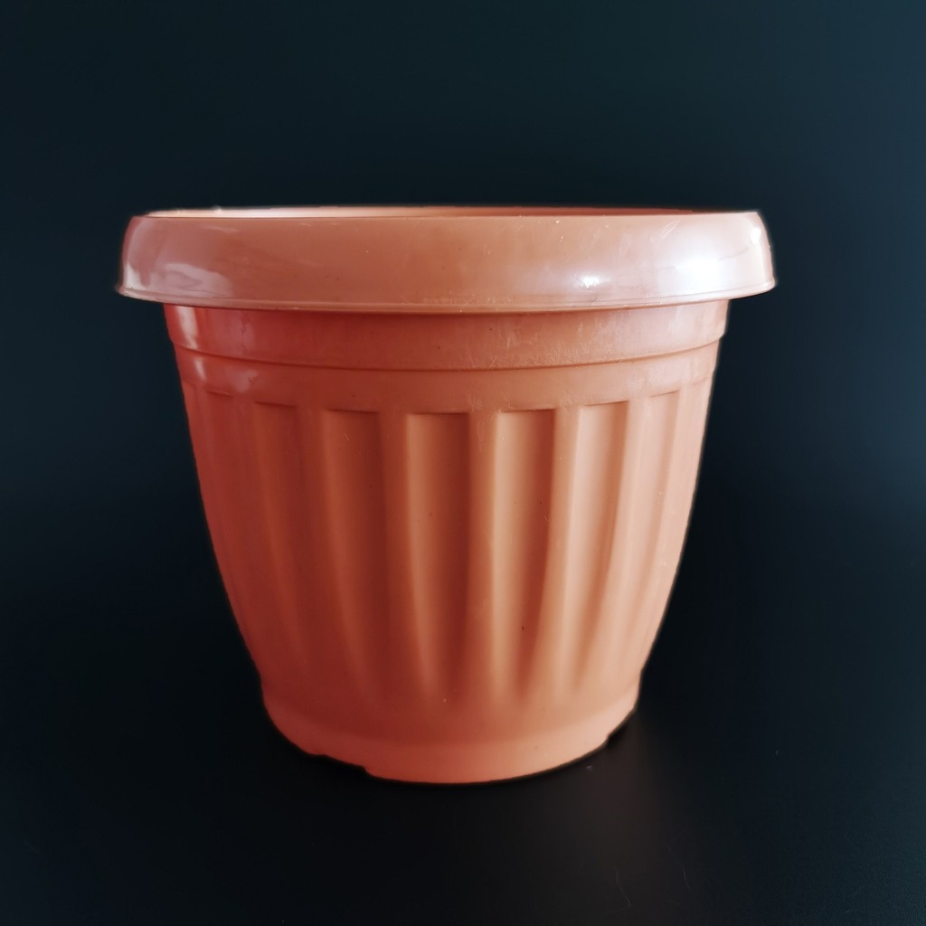 ICMART 12pcs White Small Plant Pots (Cream White) | Lazada PH