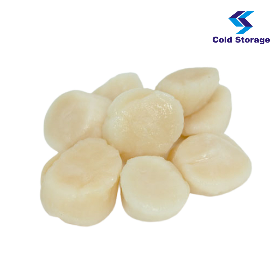 Cold Storage US Scallop (10/20) 1kg | Lazada PH