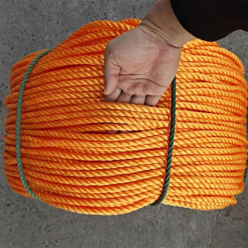 (PE) NYLON ROPE (10meters) diameter 3-10mm Nylon cord | Lazada PH