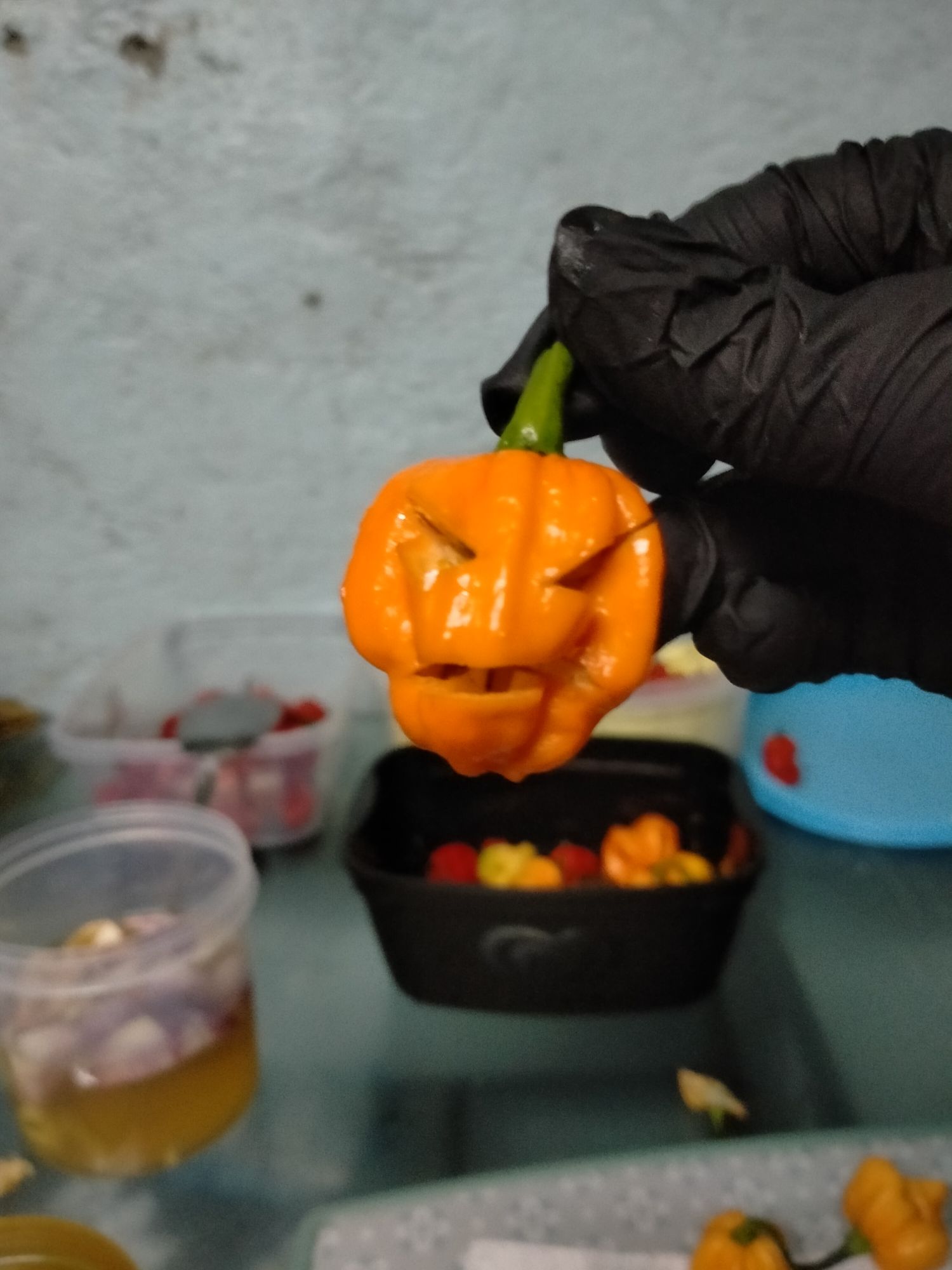 Bahamian Goat Pepper | Lazada PH