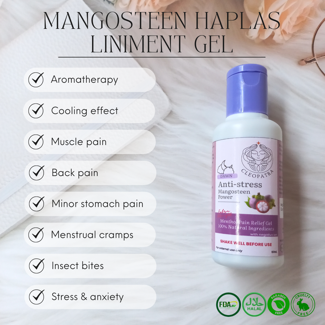 Haplas Liniment Pail Reliever Anti-Stress Mangosteen Gel | Lazada PH