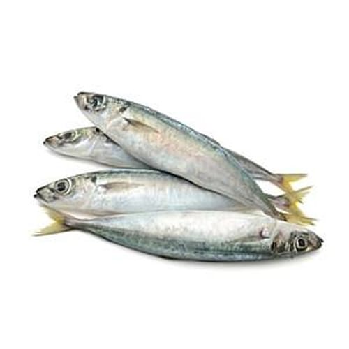 Fresh Catch Galunggong Cleaned (400-500g) | Lazada PH