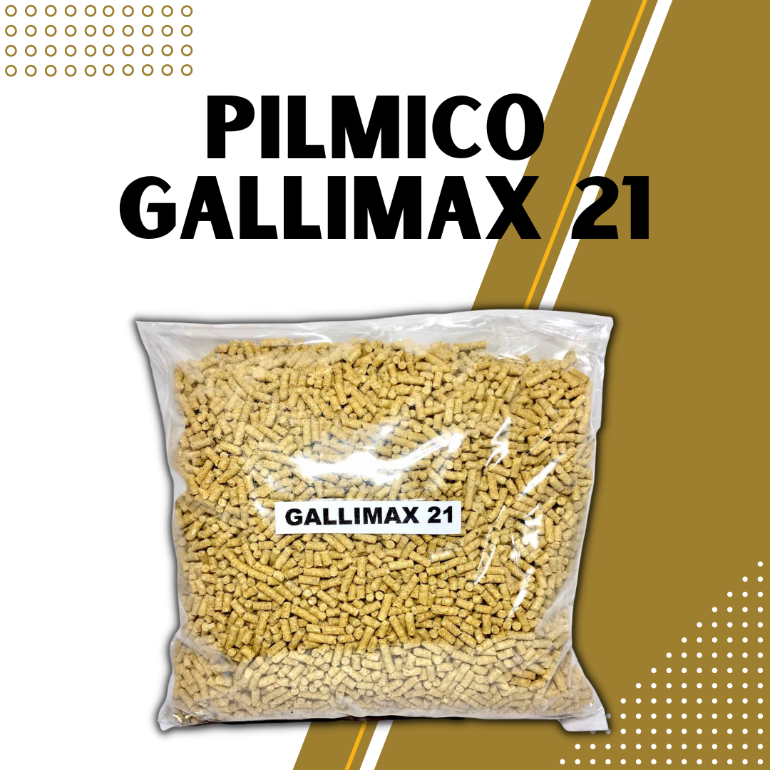[CL REYES AGRIVET] 1kg PILMICO GALLIMAX 21 BRREDER RATION/ PAKAEN SA ...
