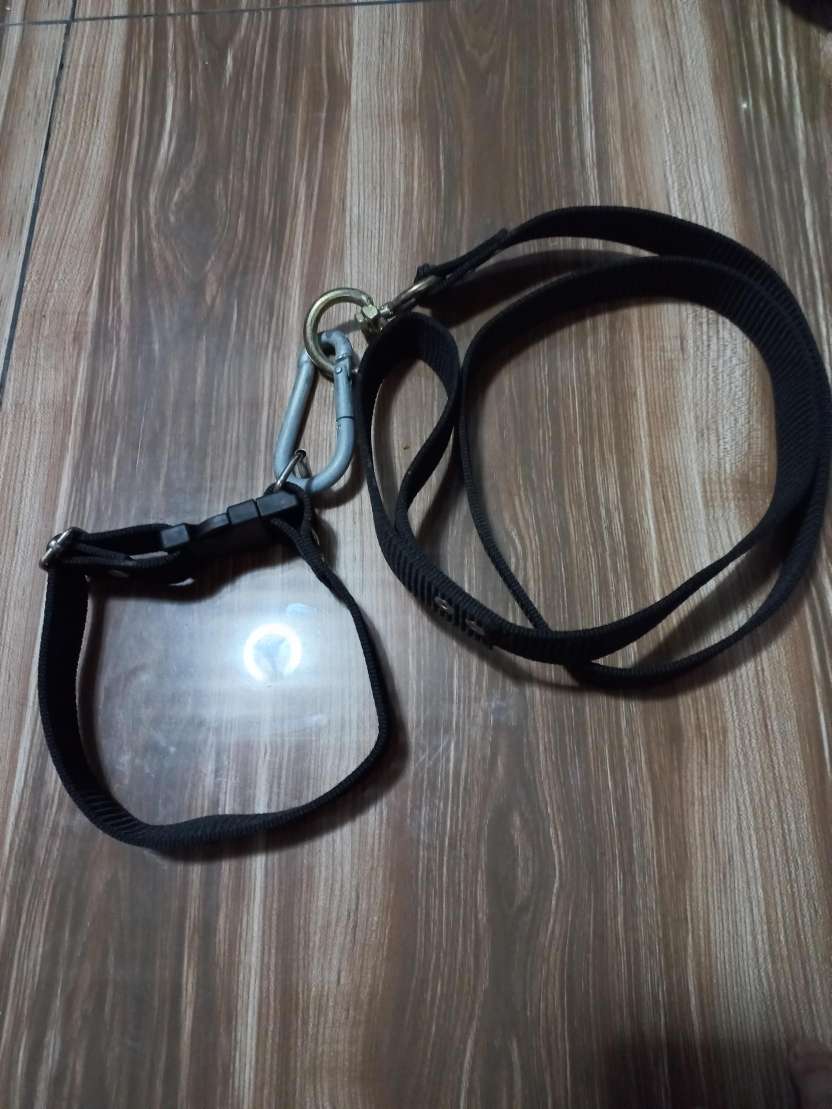 HIGH QUALITY DOG LEASH with Adjustable Collar/Original Heavy Duty Tali ...