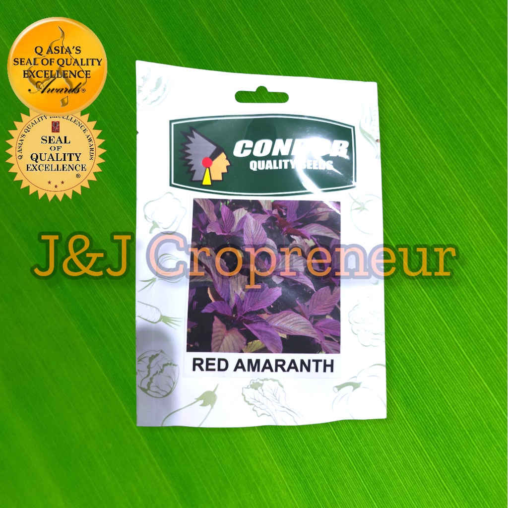 RED AMARANTH SEEDS RED KULITIS OR LOCAL SPINACH 5 GRAMS (CONDOR | Lazada PH
