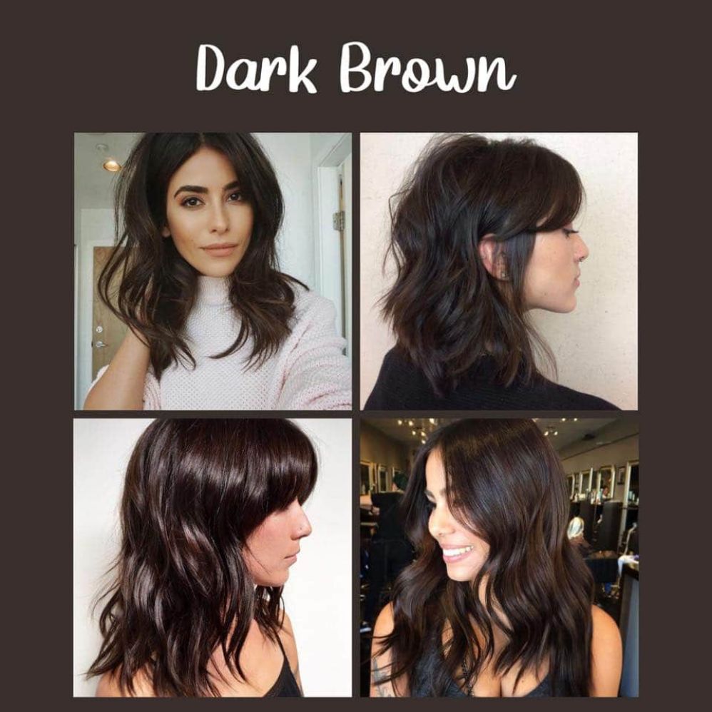 Sunbright Color Set in Dark Brown | Lazada PH