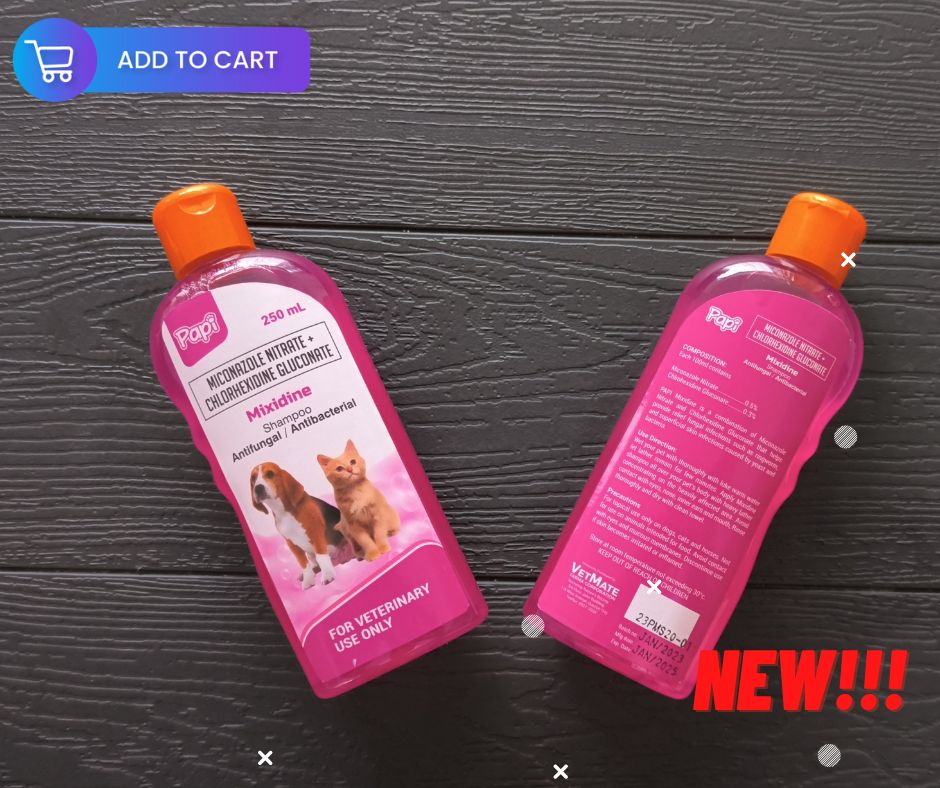 Papi Mixidine Antifungal & Antibacterial Shampoo 250mL for Dogs and ...