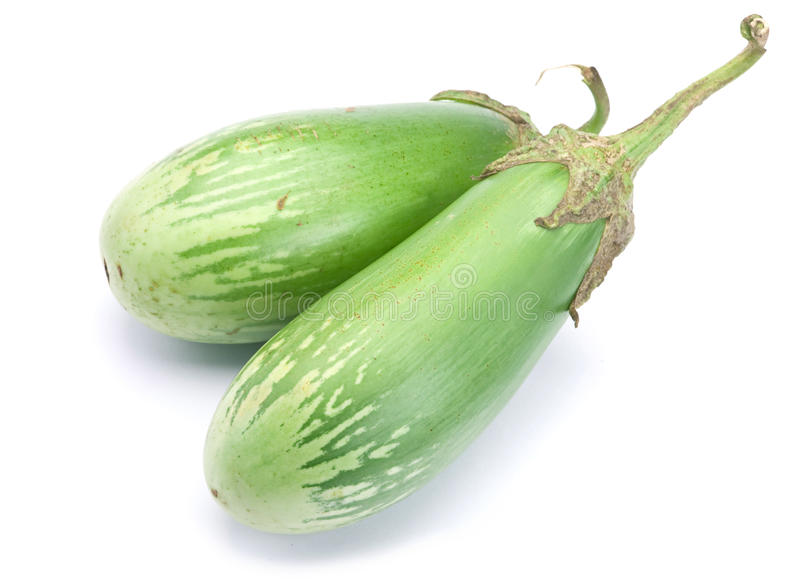 Backyard Eggplant/Talong Seeds (Various Variety) | Lazada PH