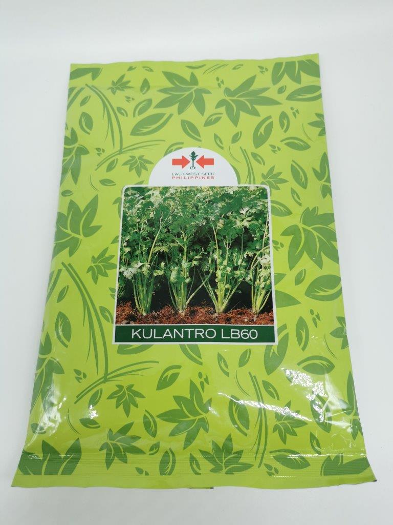 EASTWEST KULANTRO LB60 SEEDS BY EAST WEST 250 GRAMS | Lazada PH