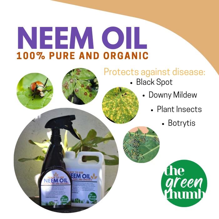 7AKJ672g The Green Thumb 1SET READY TO USE NEEM OIL spray for Plants ...