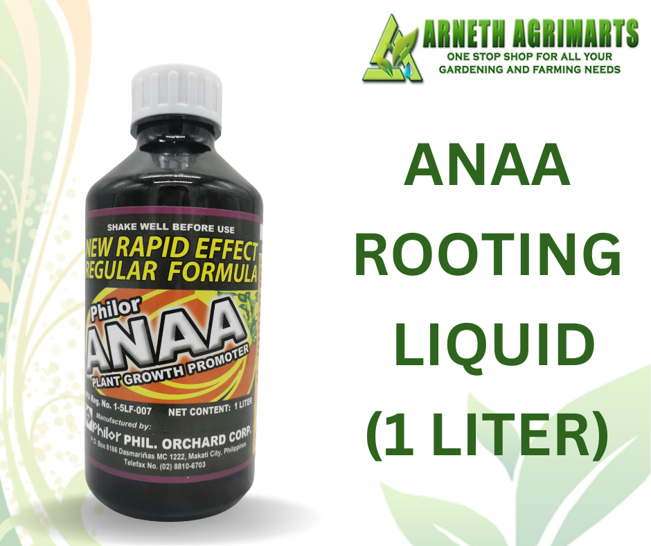ANAA rooting liquid by Philcor 1 LITER | Lazada PH
