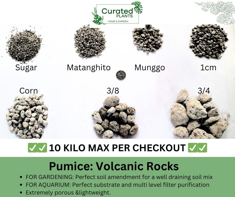 5 KILO PACK: Pumice (Porous Volcanic Rock) for Gardening & Aquarium use ...