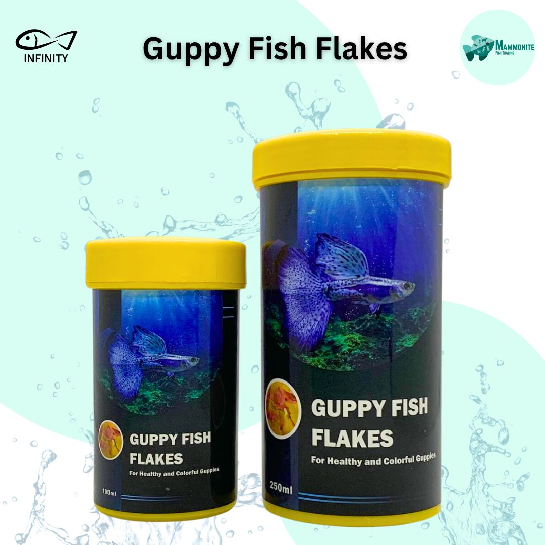 Infinity Guppy Fish Flakes Fish Food | Lazada PH