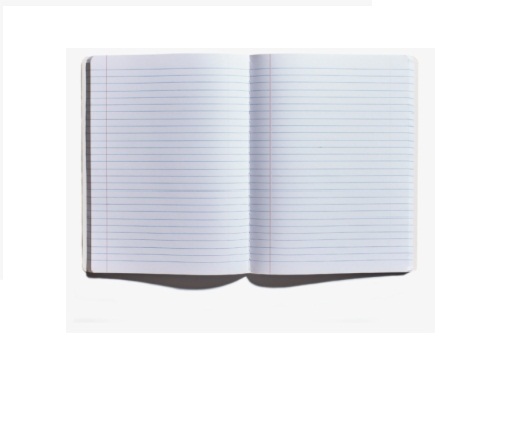 Pixel Writing Notebook Assorted Colors | Lazada PH