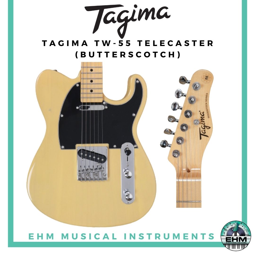 Tagima TW-55 Telecaster | Lazada PH