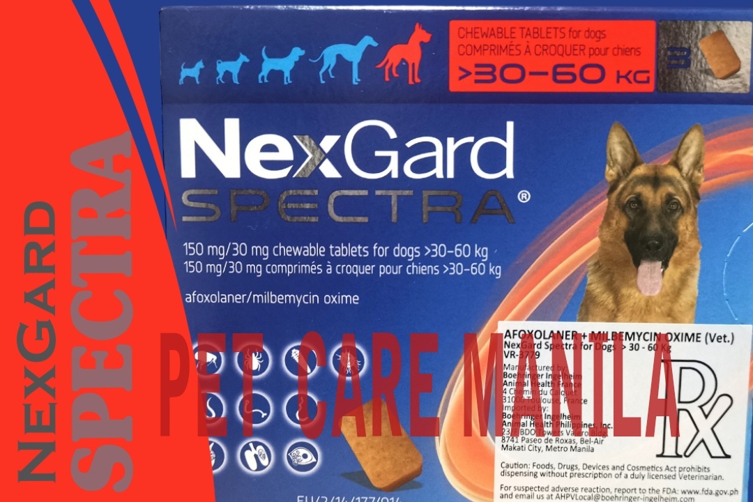 NEXGARD SPECTRA (sold per tablet or per box of 3 tablets w/ FREE ...