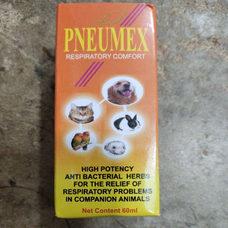 Pneumex Syrup 60ml content | Lazada PH
