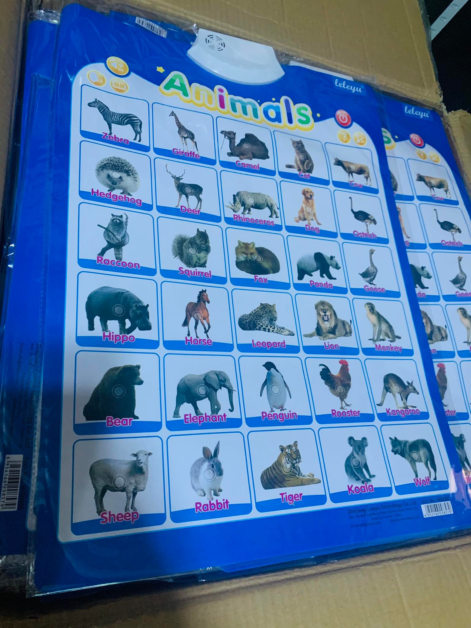 TALKING CHART HIGH QUALITY EDUCATIONAL CHART | Lazada PH