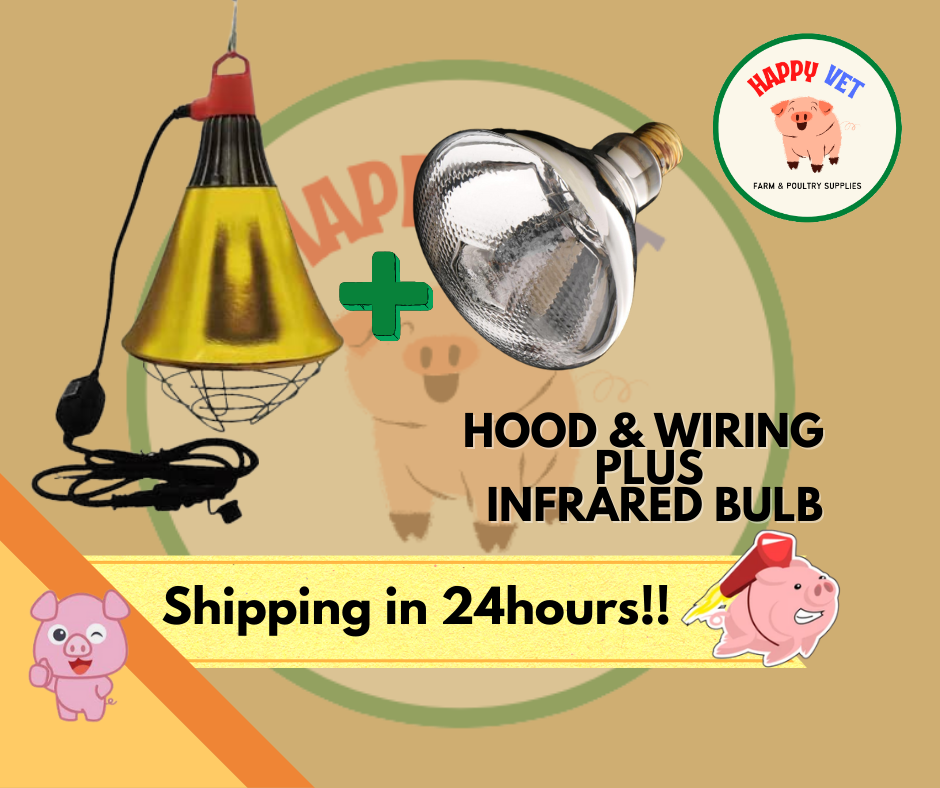 1 Set Golden color heat lamp shade + infrared heat bulb brooder lamp ...