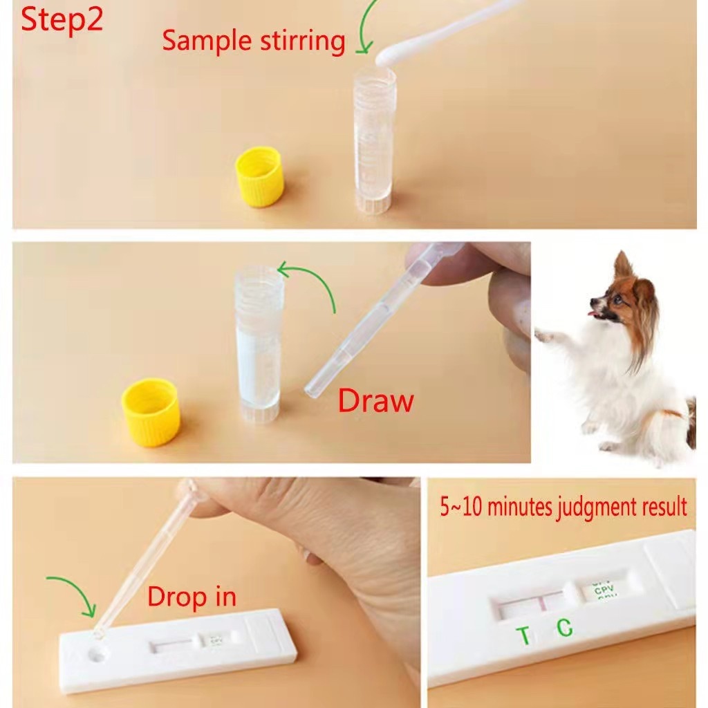 PET Sounds Venture Dog Canine Distemper Virus CDV Parvovirus CPV Test ...