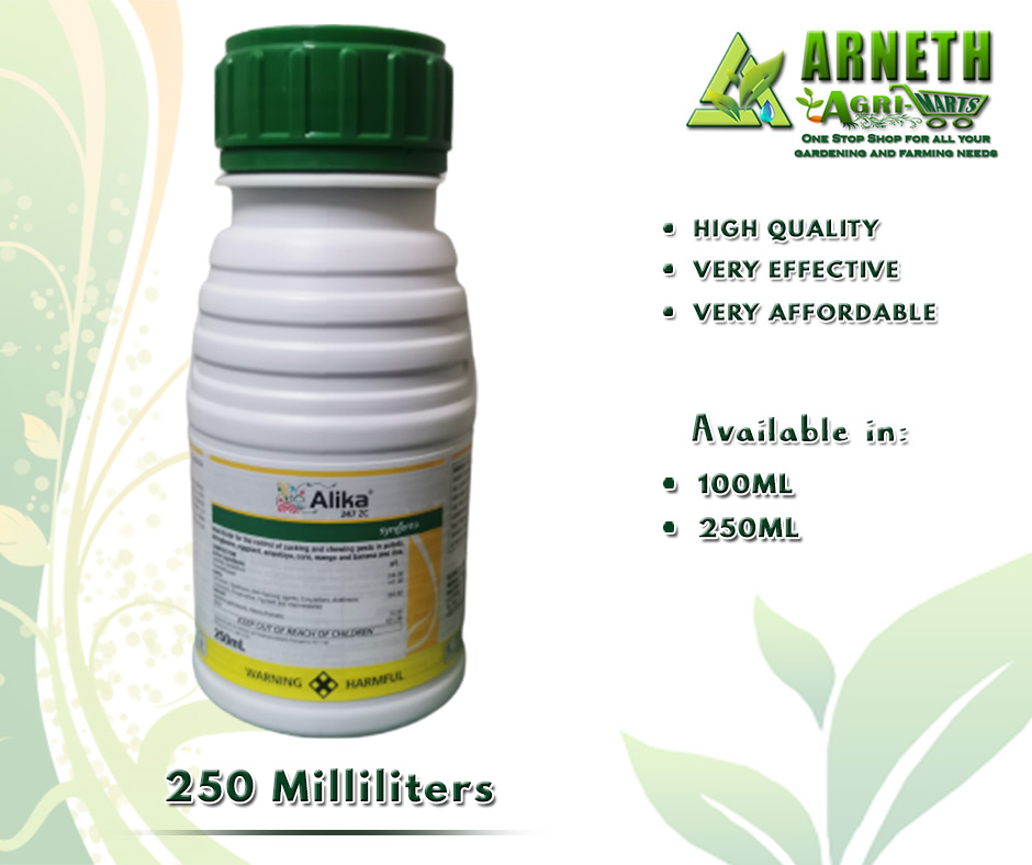 SYNGENTA ALIKA 247 ZC INSECTICIDE 250ML | Lazada PH