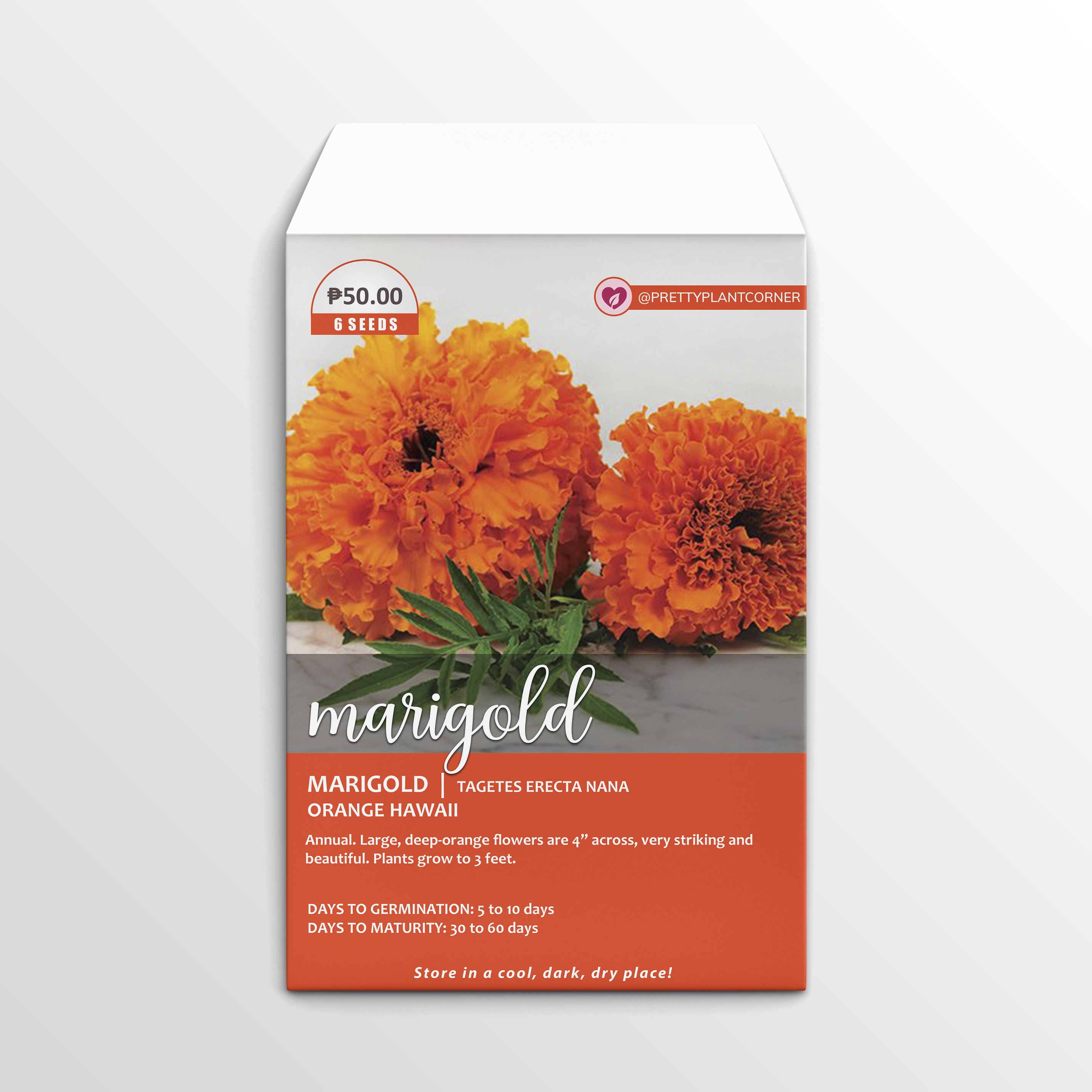 Orange Hawaii Marigold Seeds | Lazada PH