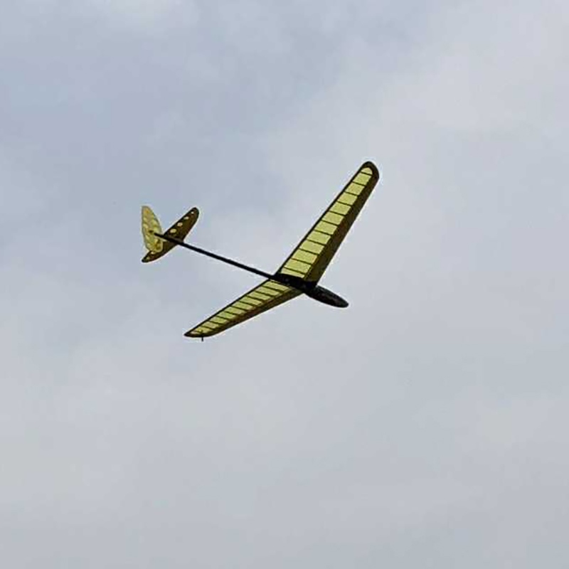 GTRC MINI DLG competitive version P3K standard glider remote control ...