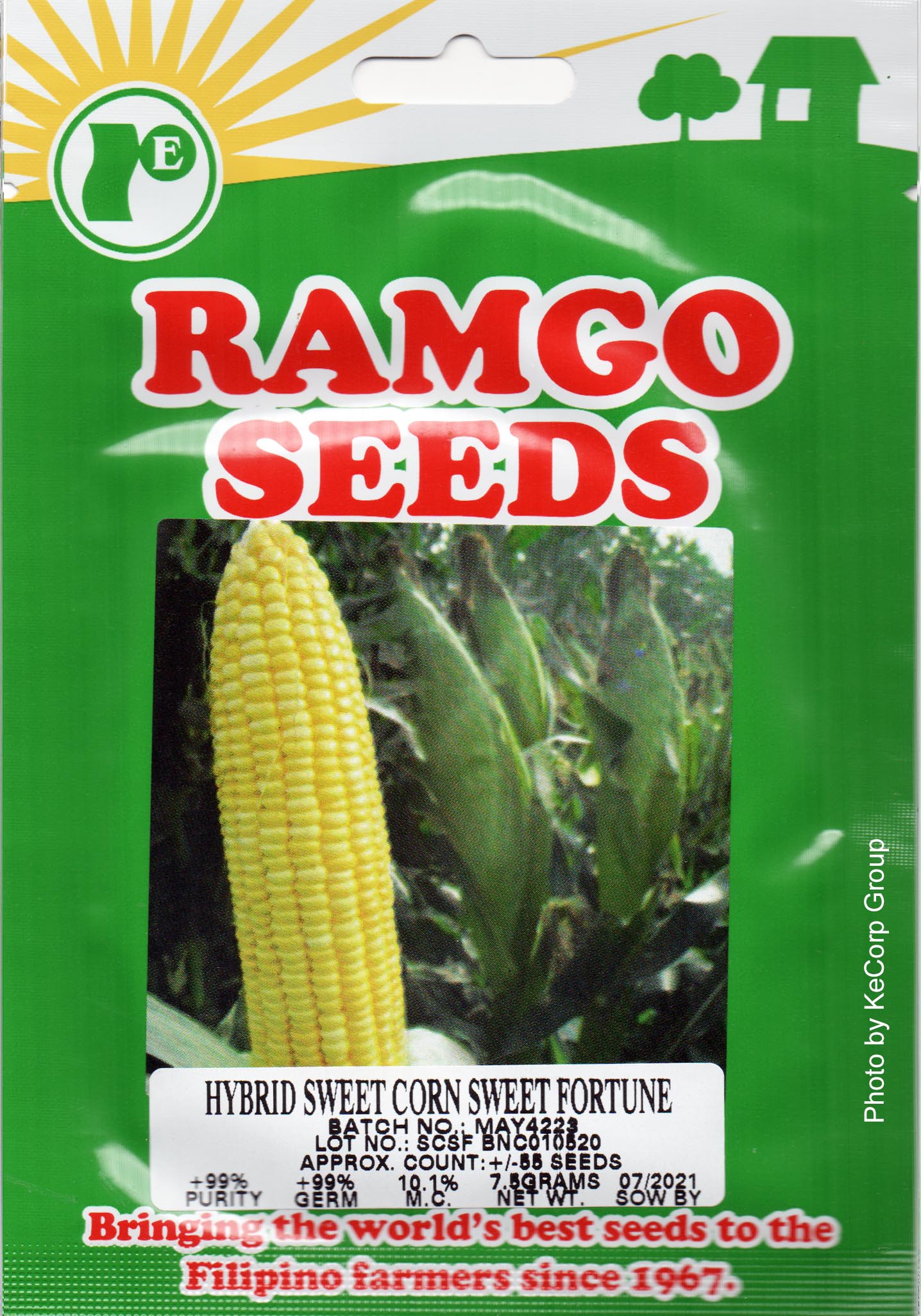 Ramgo RPD SWEET CORN SWEET FORTUNE Seeds 7.5g | Lazada PH