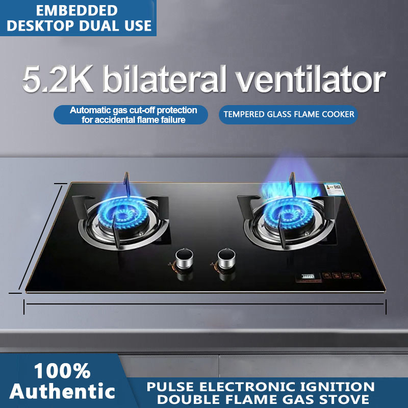 ACE stainless steel built-in double-head gas stove burner built-in ...