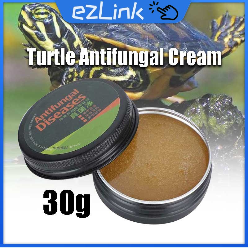 Tortoise Antifungal Cream Shell Fungus Remove Cream Turtle White Spot ...