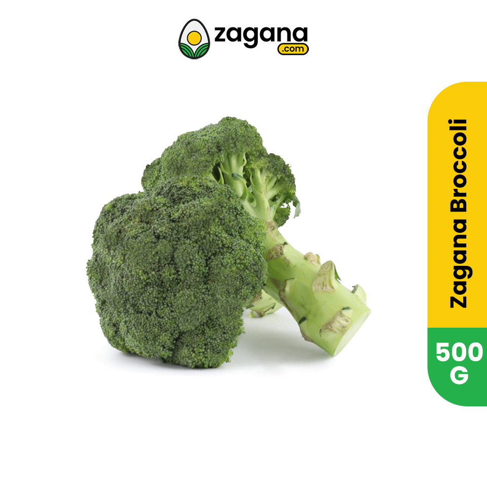 Zagana Farm Fresh Vegetables Broccoli 500g | Lazada PH
