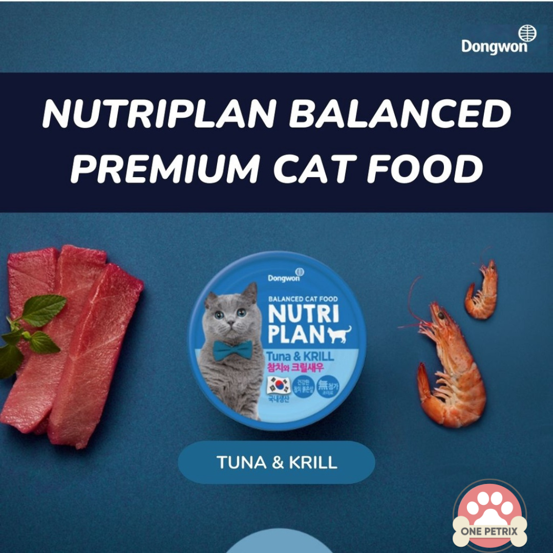 Nutriplan Balanced Wet Cat Food 160G | Lazada PH