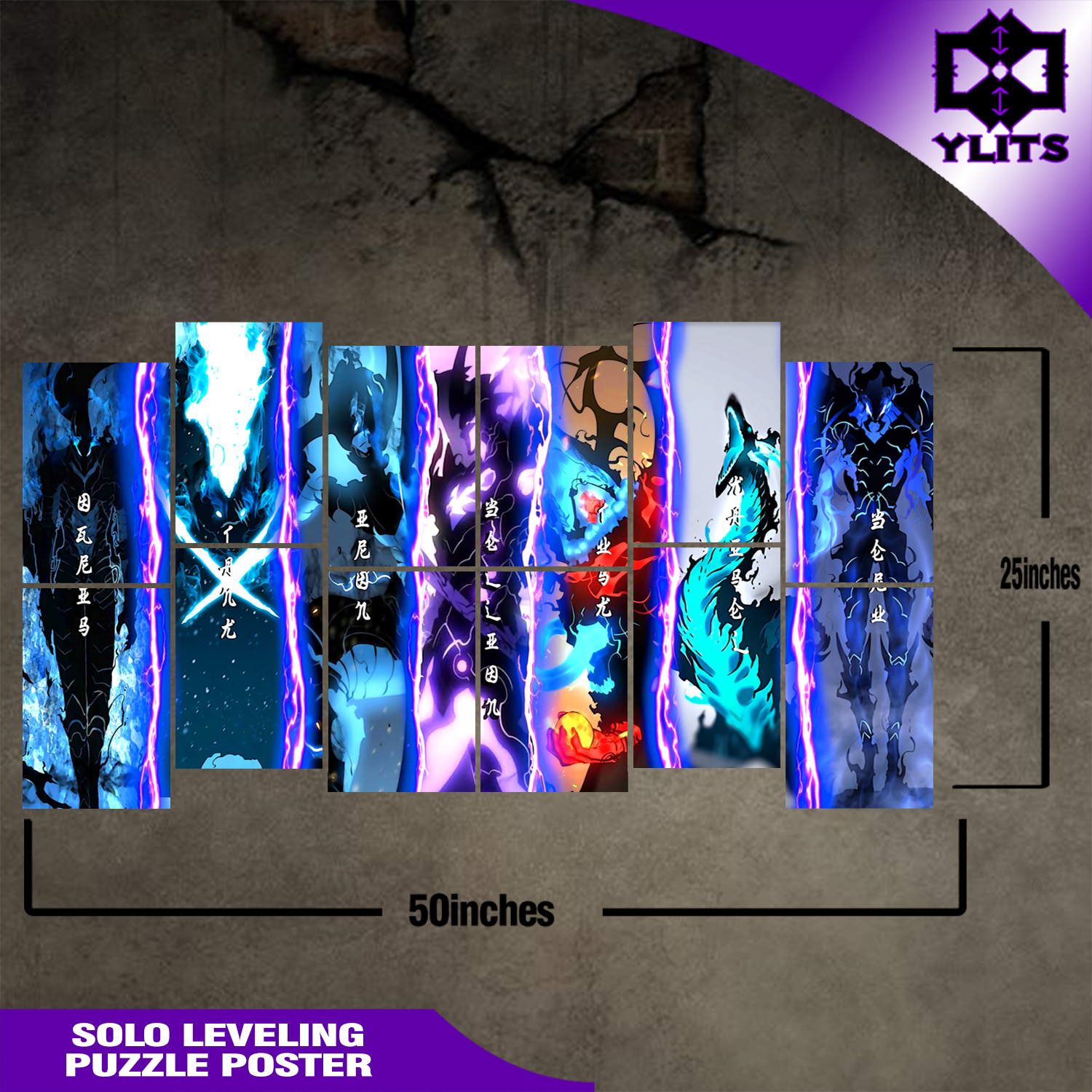 Solo Leveling | Shadows | Puzzle Wall Décor | Show Your Fandom on your ...
