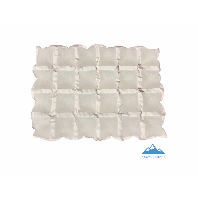 Flexi Ice 2-Ply 6 x 4 Ice Sheets Gel Ice Pack Standard | Lazada PH